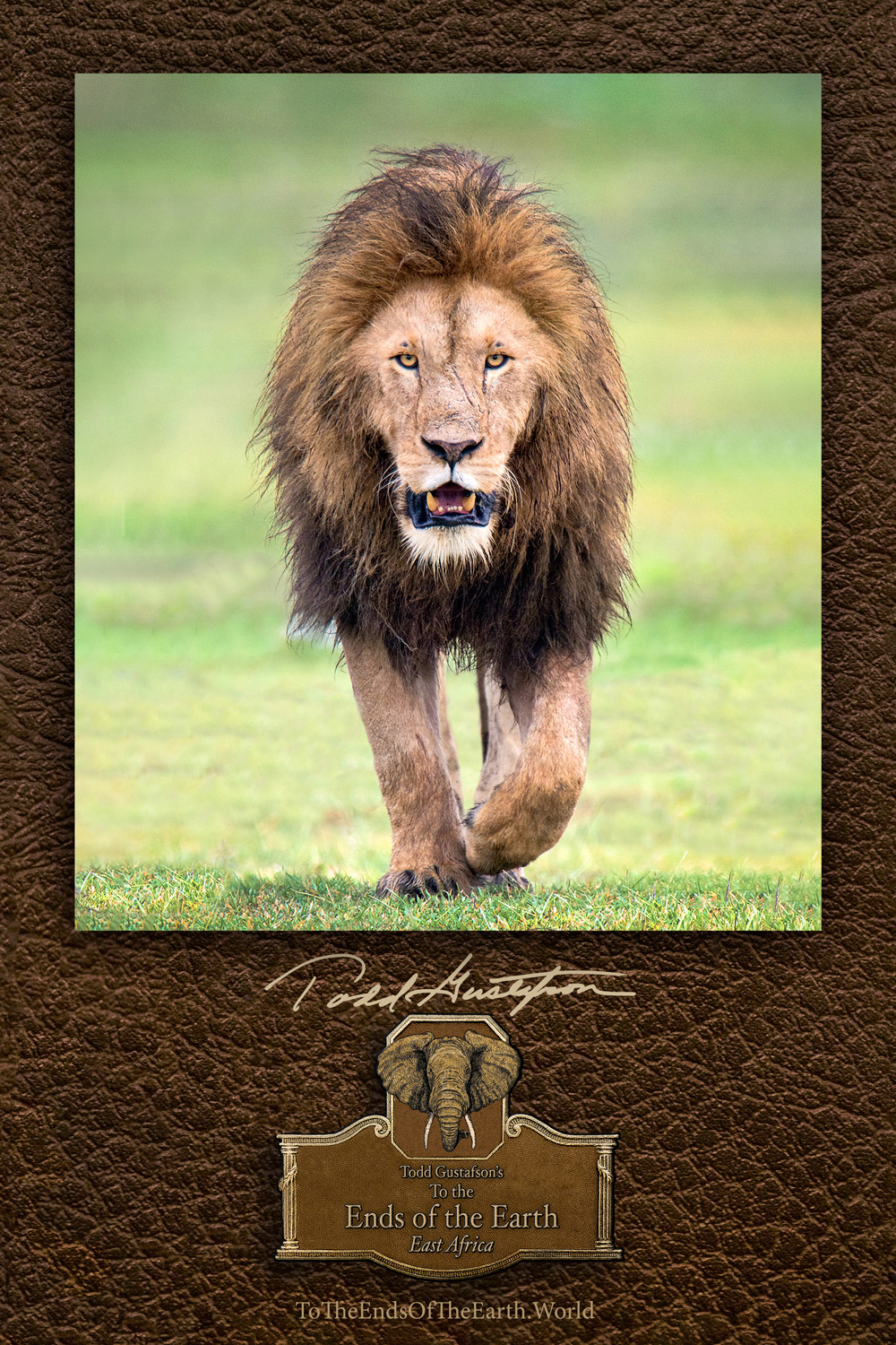 Big Five Poster Set 11×15 – To The Ends Of The Earth LLC